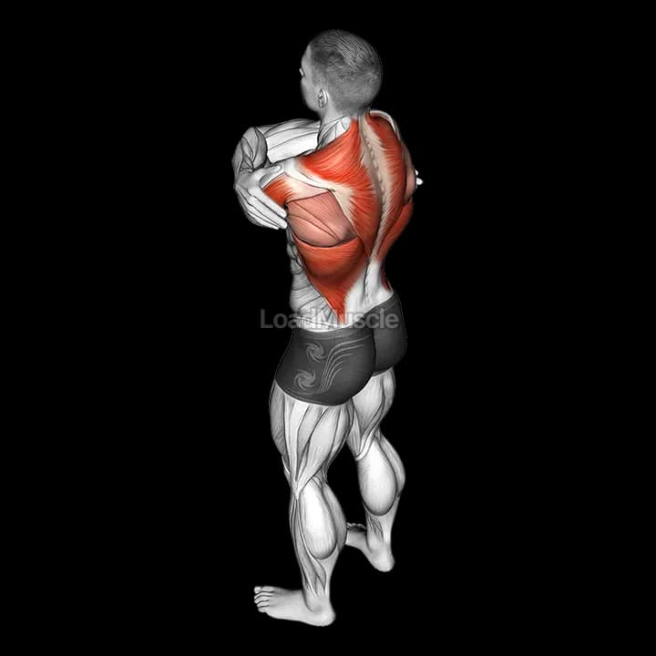 Wrap around shoulder stretch: Exercise Guide | LoadMuscle
