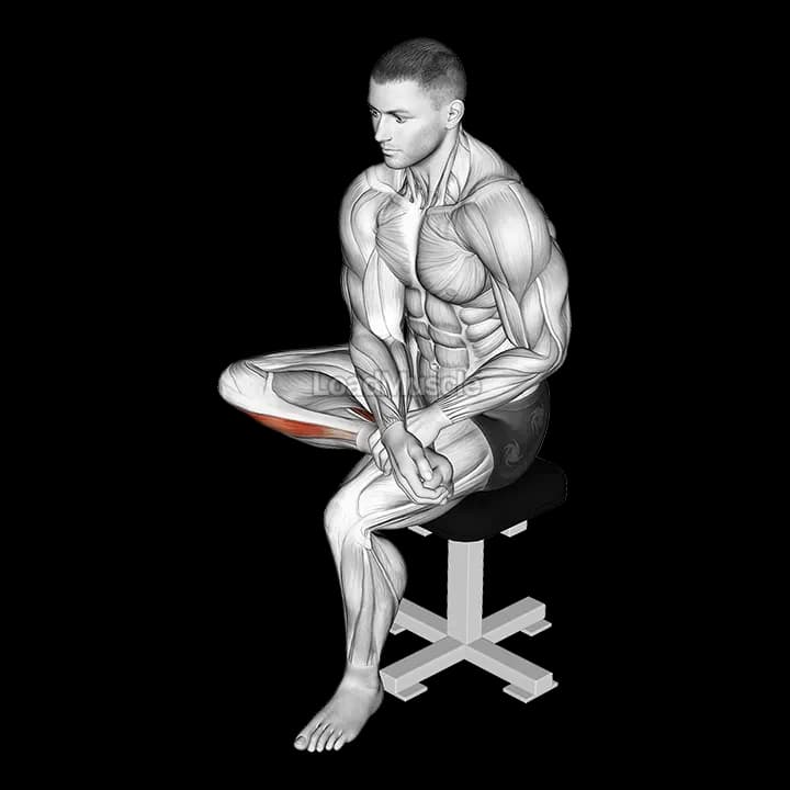 Seated Toe Flexor And Foot Everter Stretch: Exercise Guide | LoadMuscle
