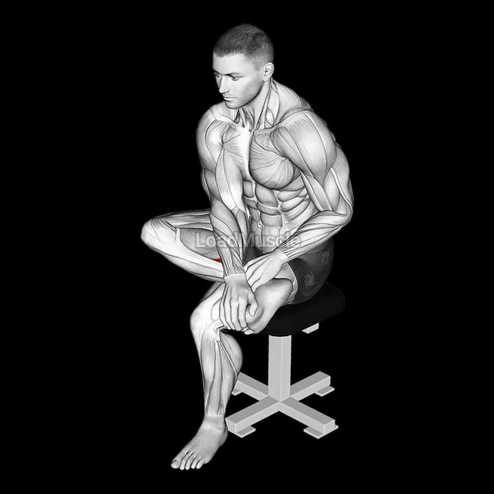 Seated Toe Flexor And Foot Inverter Stretch: Exercise Guide | LoadMuscle