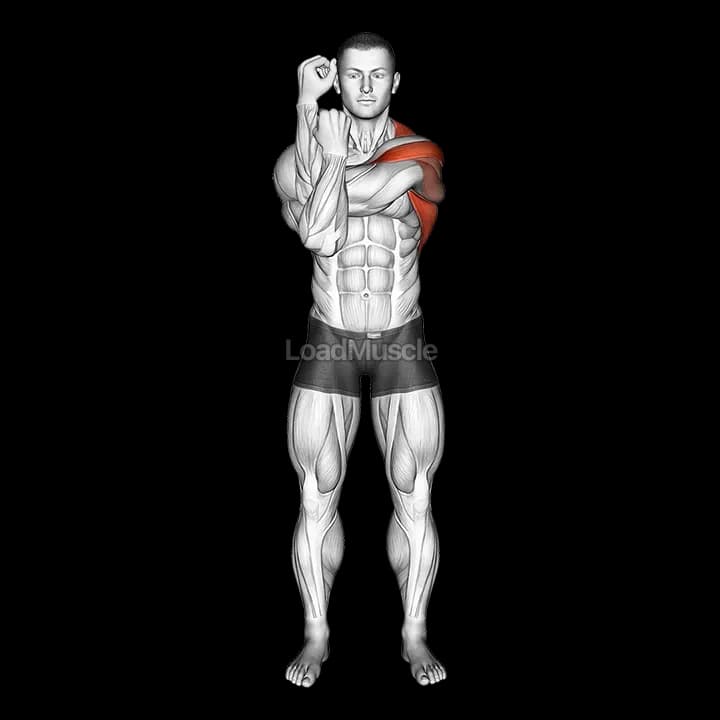 Bent Arm Shoulder Stretch: Exercise Guide | LoadMuscle