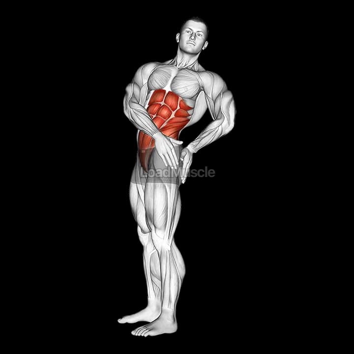 Standing Abs Rotation Stretch: Exercise Guide | LoadMuscle