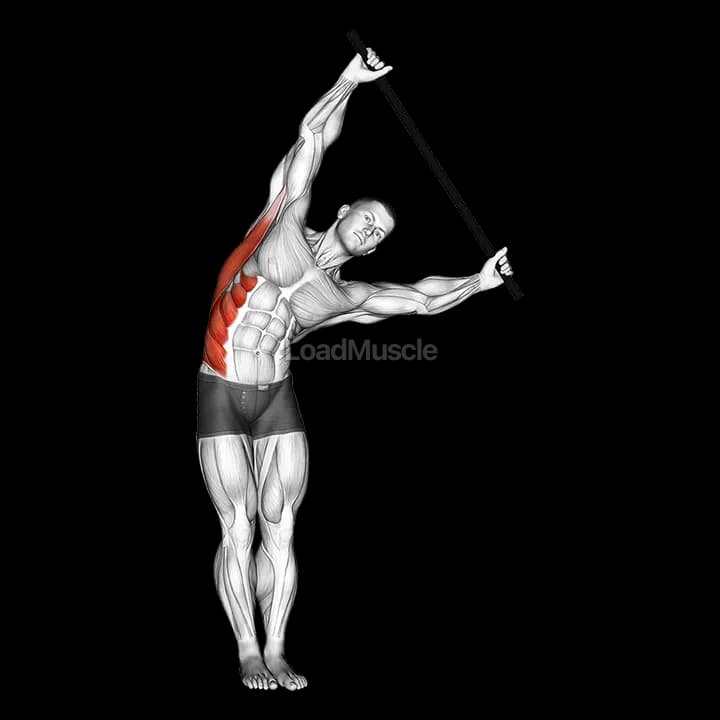 Standing Side Stretch With Stick: Exercise Guide | LoadMuscle