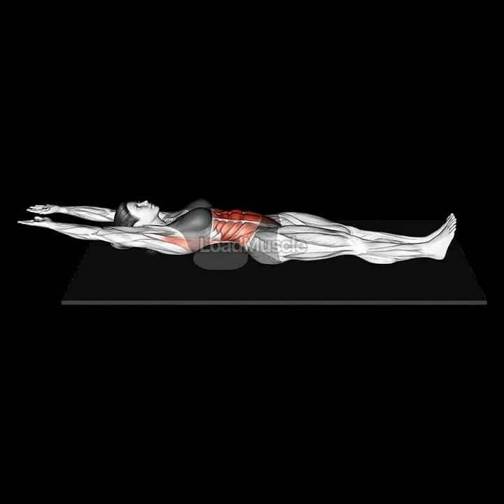 Lateral Stretch On Floor Lying Down: Exercise Guide | LoadMuscle